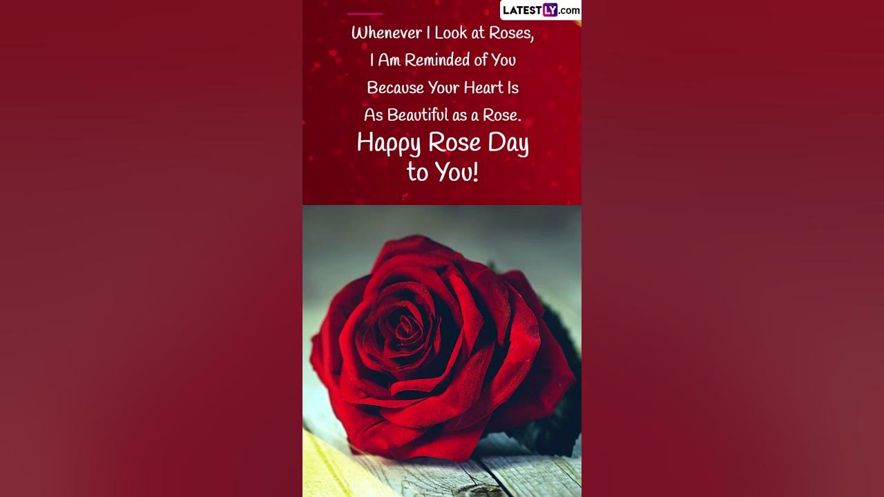 Happy Rose Day 2023 Greetings, Lovely Messages, Quotes About Love and ...