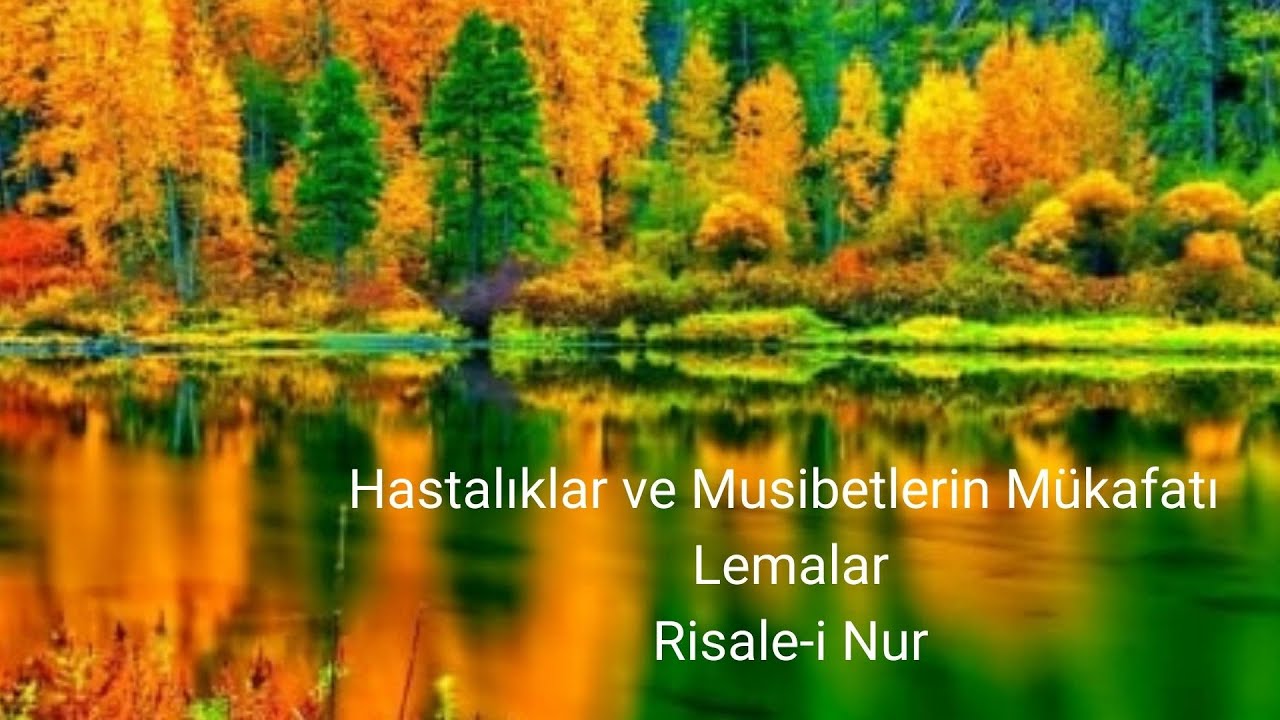 Hastalıklar ve Musibetlerin Mükafatı, Lemalar, Risale-i Nur - YouTube