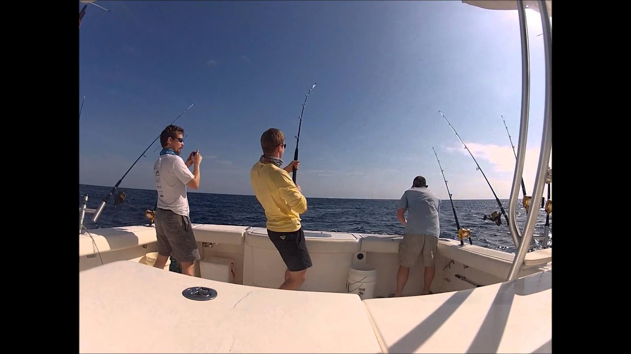 South Carolina Blue Water Fishing - May 2013 - YouTube