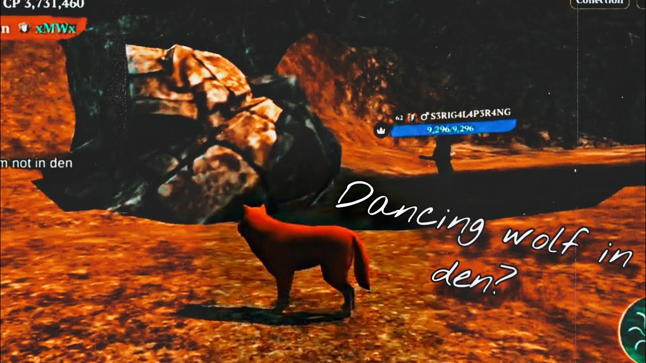 Dancing wolf in PvP inside den || The Wolf - YouTube