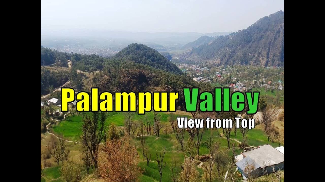 Palampur Valley view from Top, Himachal Pradesh || Himachal Darshan ...