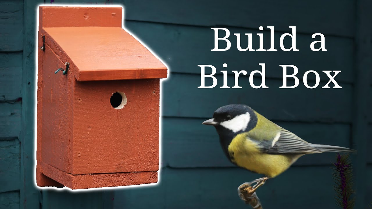 Build a Birdhouse | Step by step instructions - YouTube