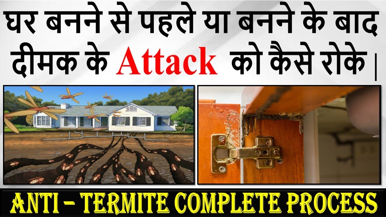 Anti-Termite Treatment Detailed Process ! घर को दीमक से कैसे बचाये || # ...