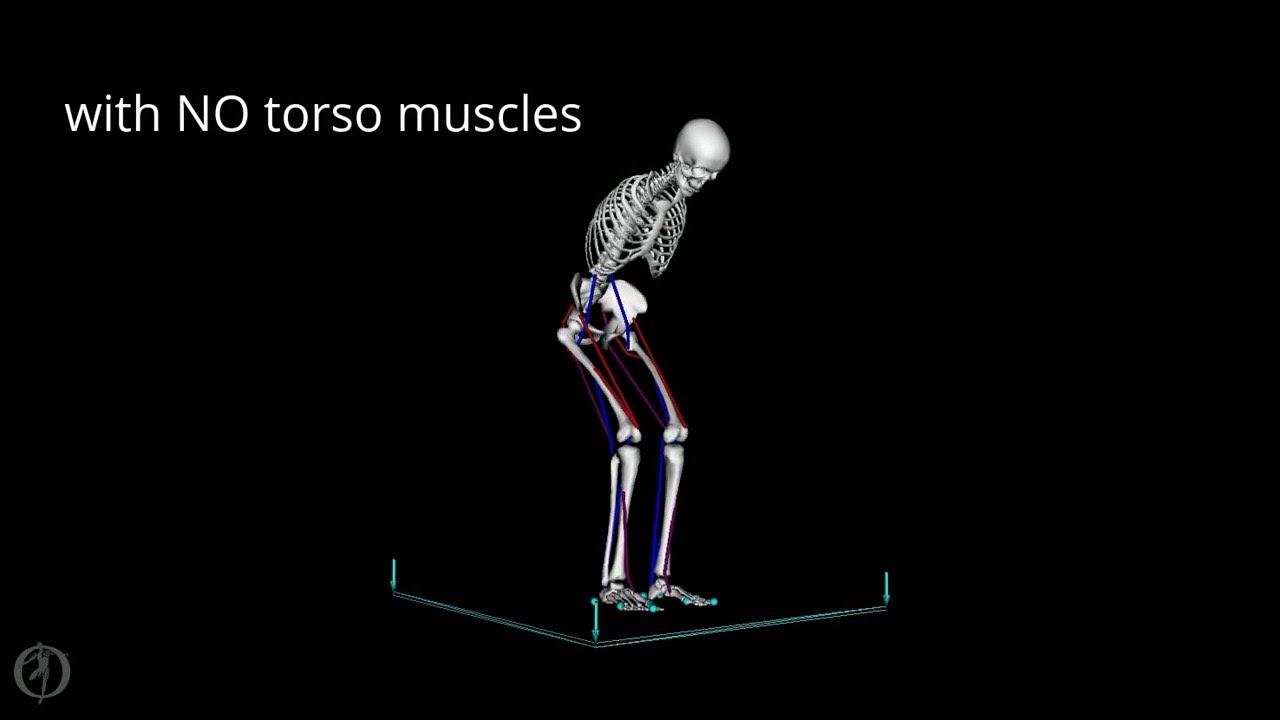 Sit to Stand Transfer: Forward Dynamics (One Step Closer) - YouTube