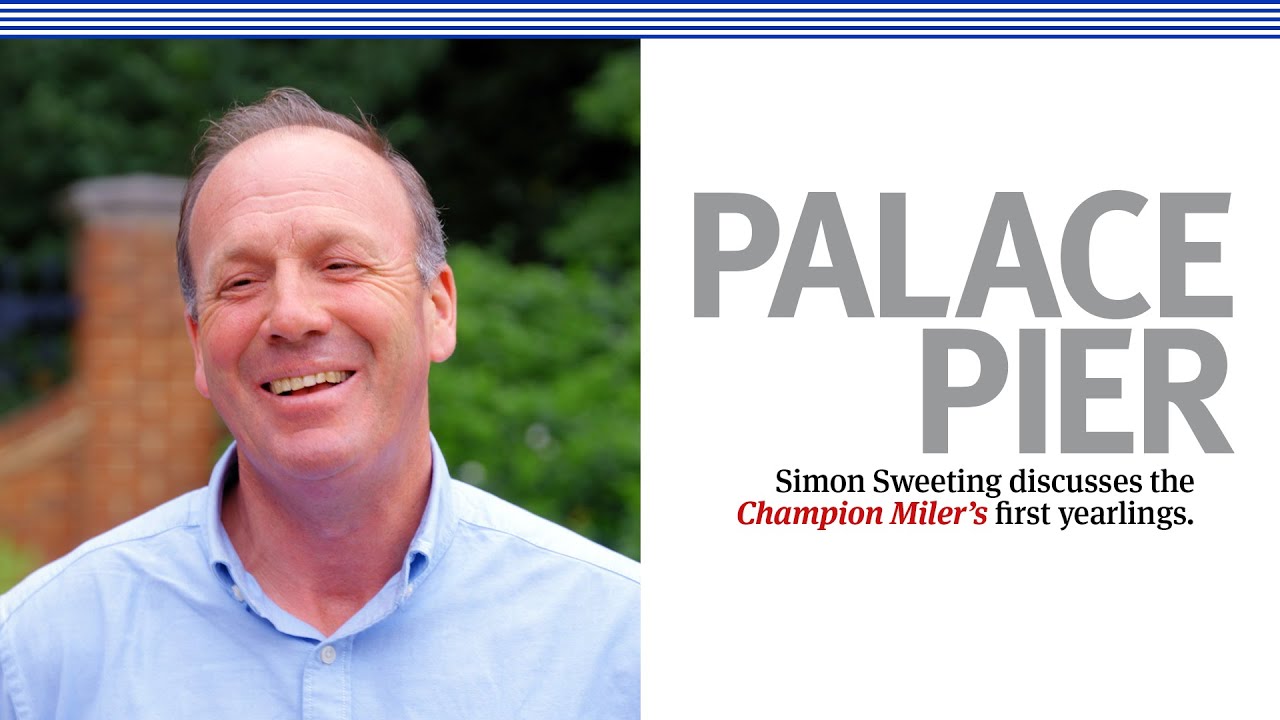 🇬🇧 Simon Sweeting discusses Palace Pier's first yearlings - YouTube