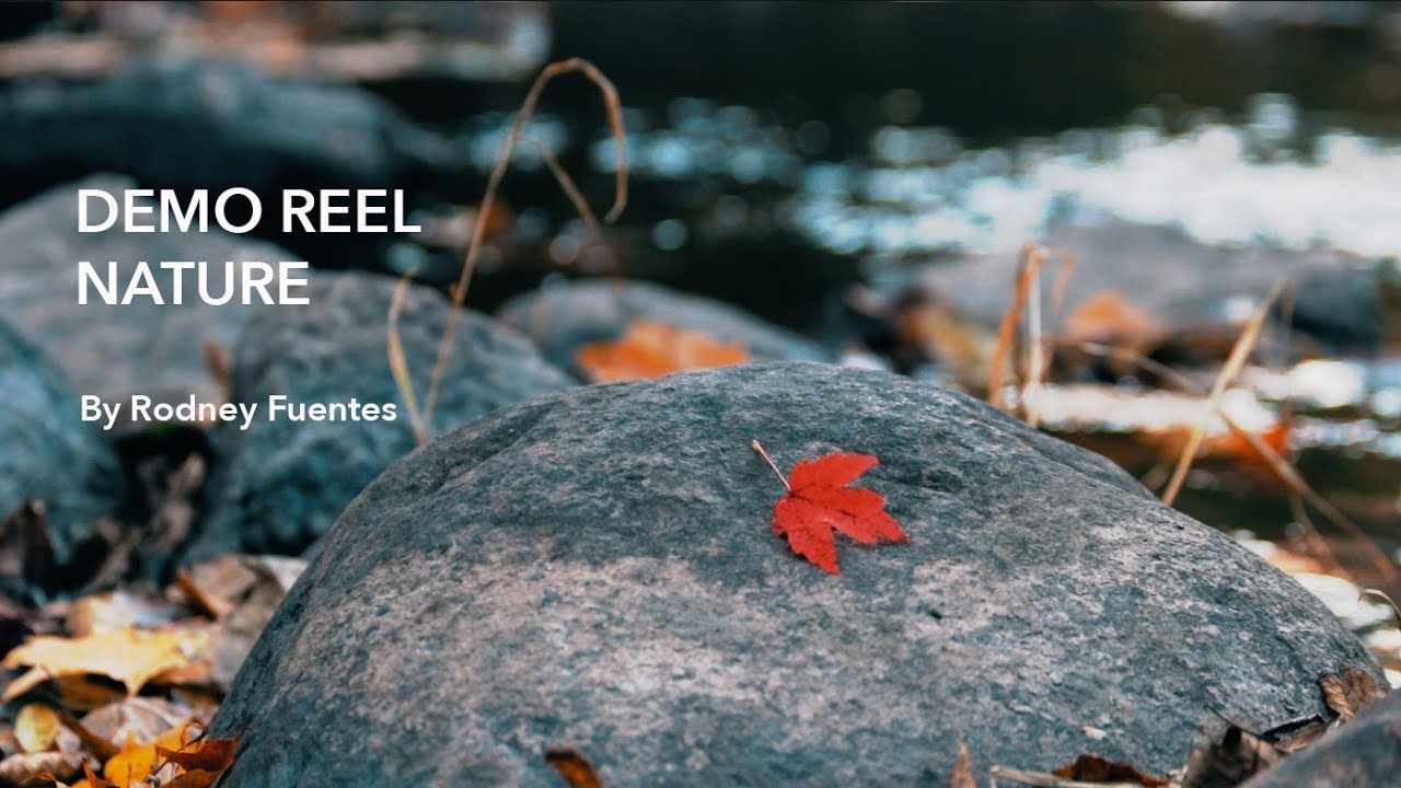 Nature Reel - YouTube