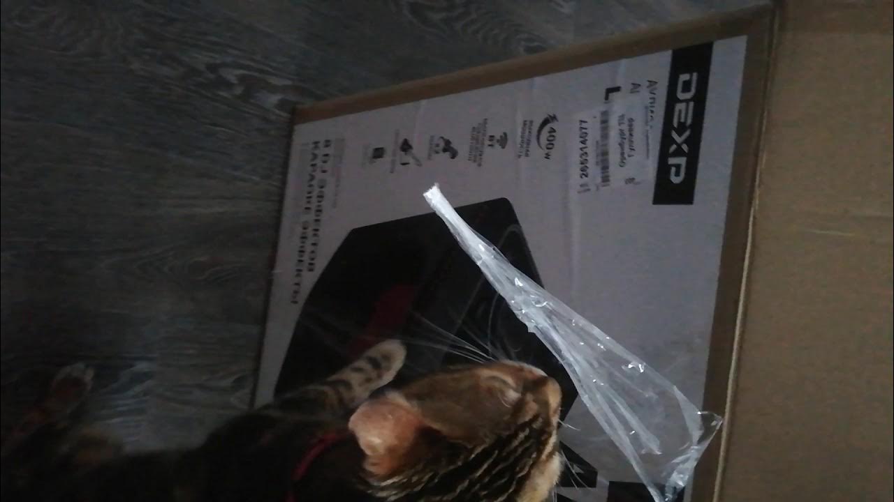 Домашняя аудиосистема DEXP LH-V500 - YouTube