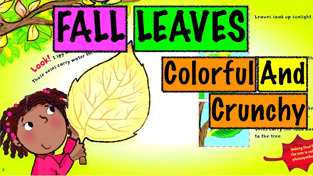 Read Aloud STORY: Fall Leaves 🍂🍁 : Colorful and Crunchy - YouTube