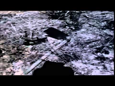 The Most Evil Men in History Pol Pot - YouTube