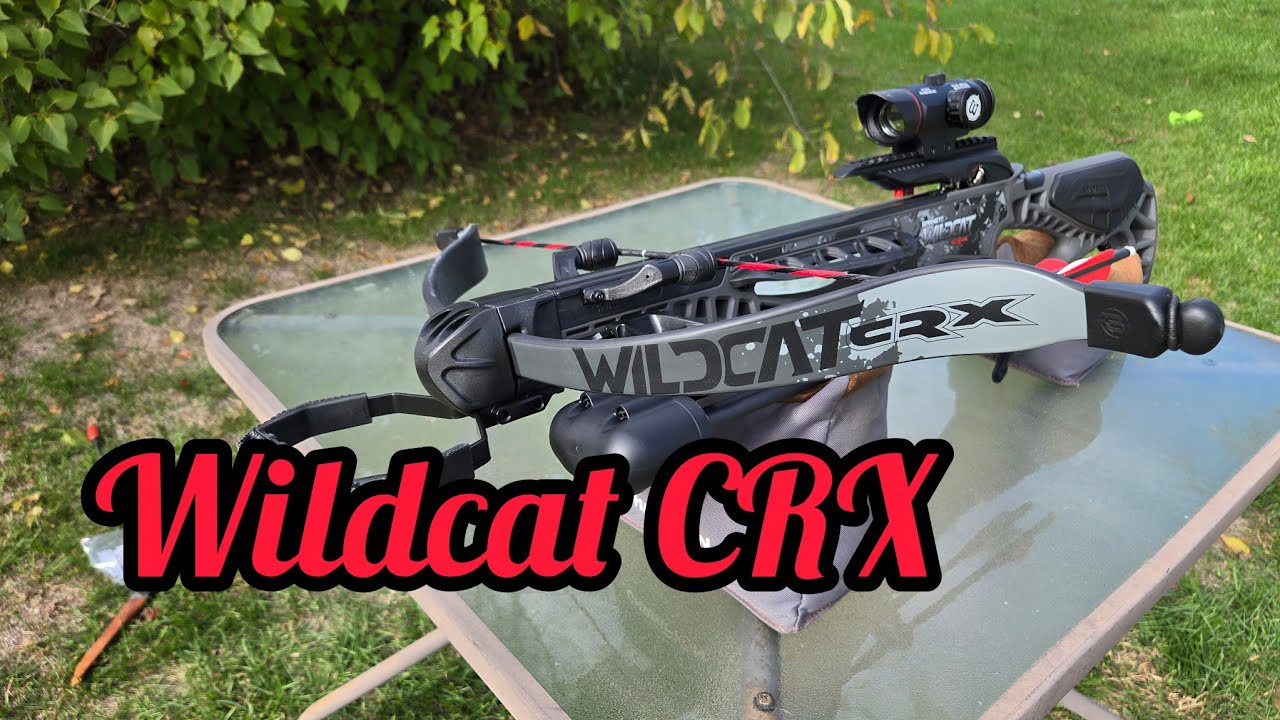 Barnett Wildcat CRX Crossbow - YouTube