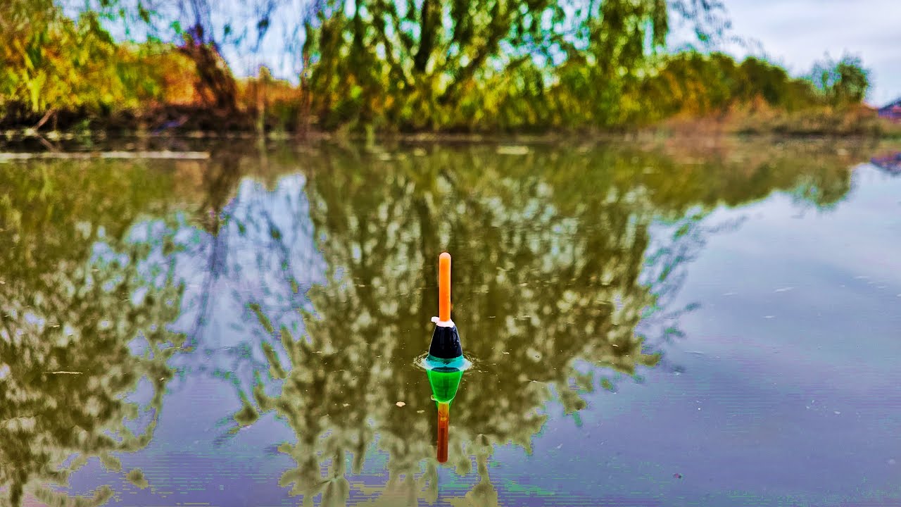 AM RUPT CARASII IN DECEMBRIE LA UNDITA LA RAMA SI VIERMUSI - YouTube