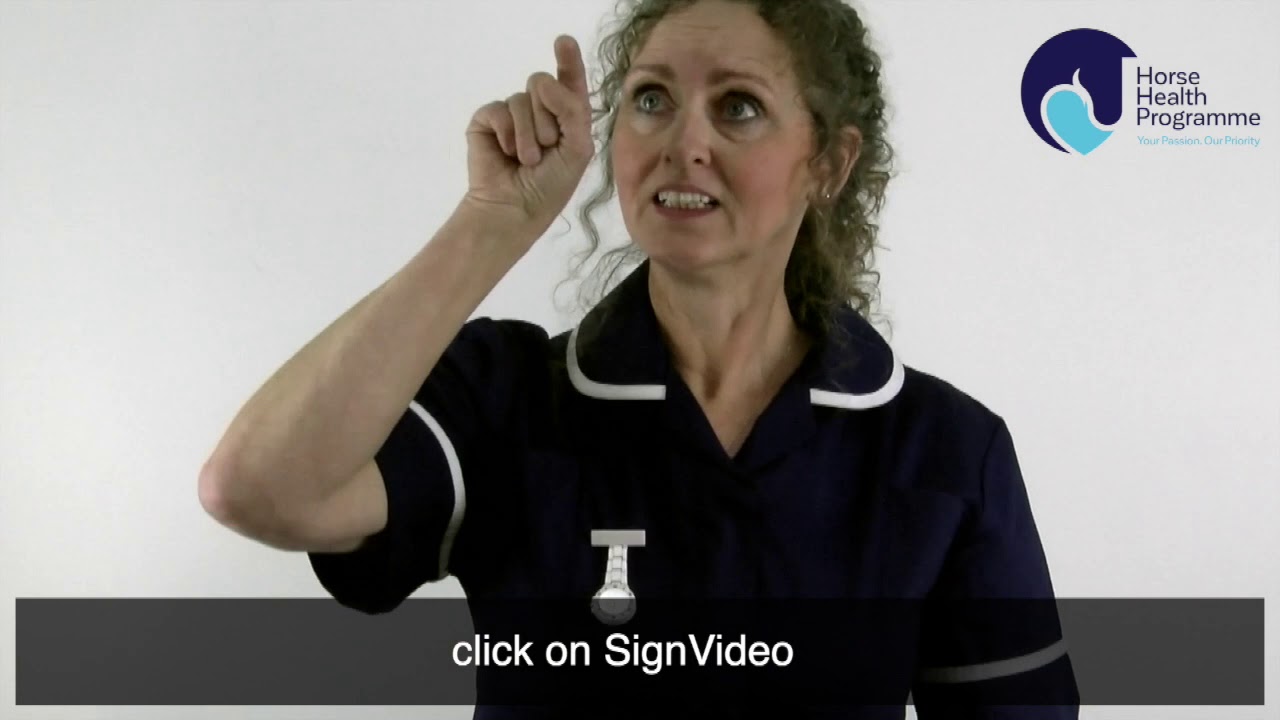 SignVideo - Deaf British Sign Language (BSL) Service - YouTube