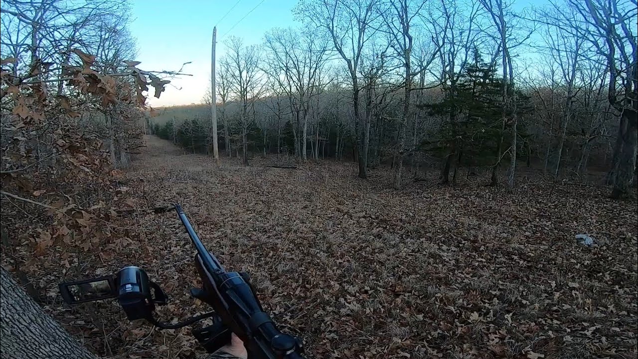 Hunting Powerline Late November - YouTube