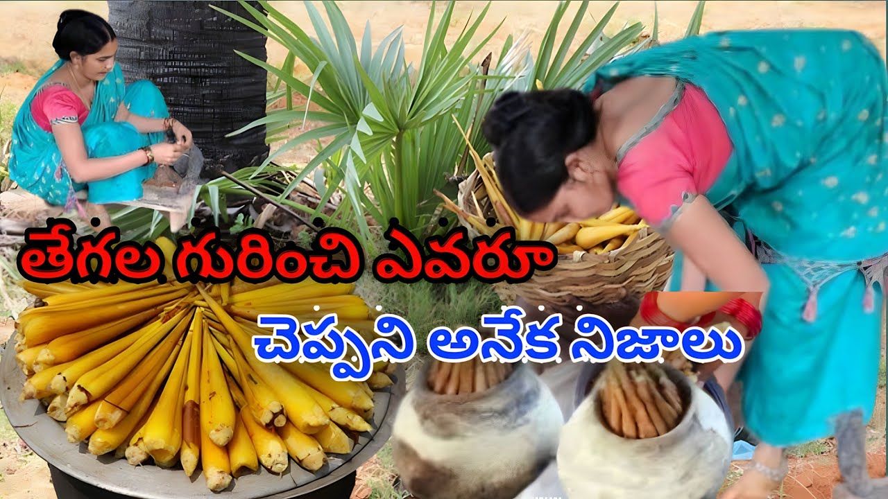 తాటి తేగలు ఫుల్‌స్టోరీ|| How To cook Tatitegalu || Tegalu benefits in ...
