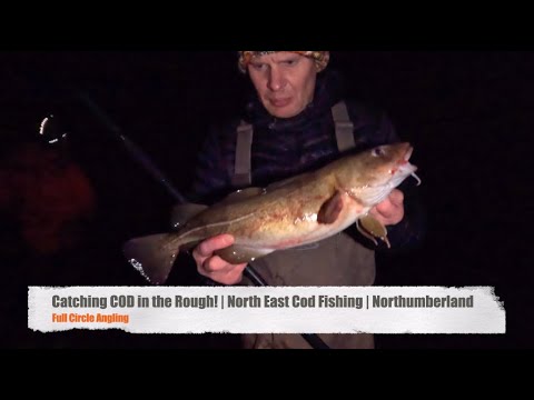 Rough Ground COD Catching! | North East Cod Fishing | Northumberland ...