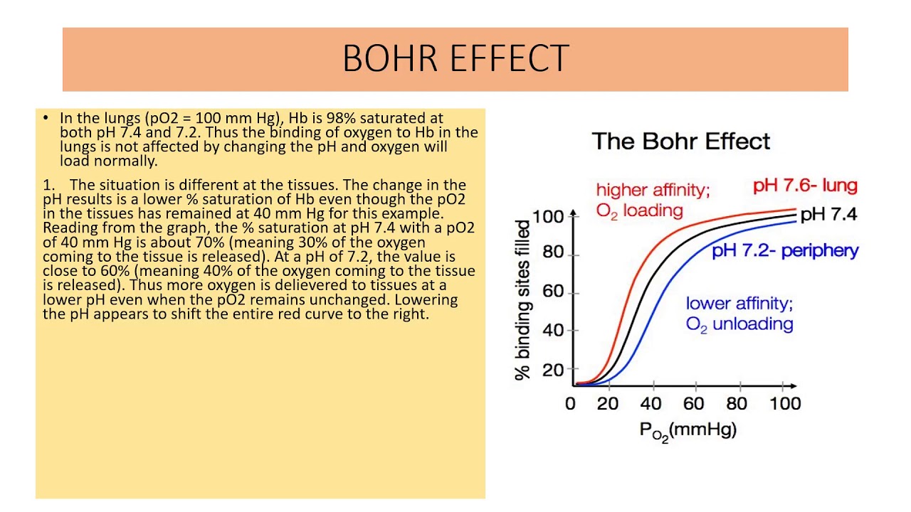Bohr Effect