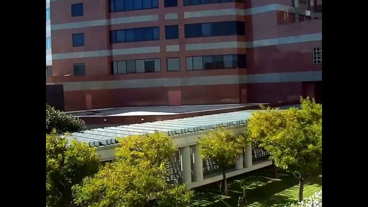 Metropolitan Detention Center - Los Angeles - Flagpole Repair ...