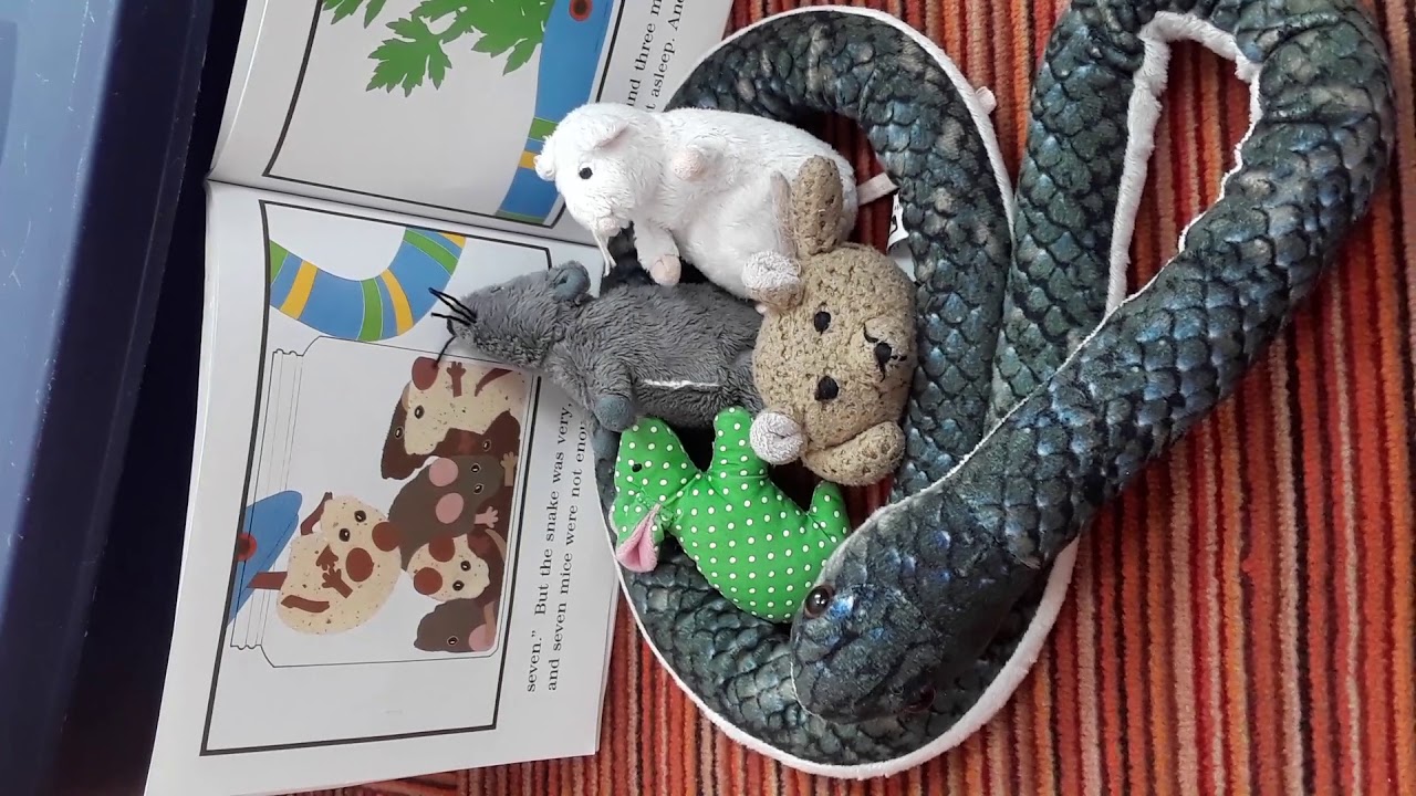 Moe the Mouse: Mouse Count - YouTube