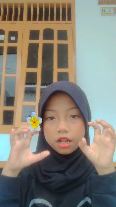 25 Januari 2025 - YouTube