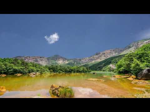 green nature birds sound relaxing music