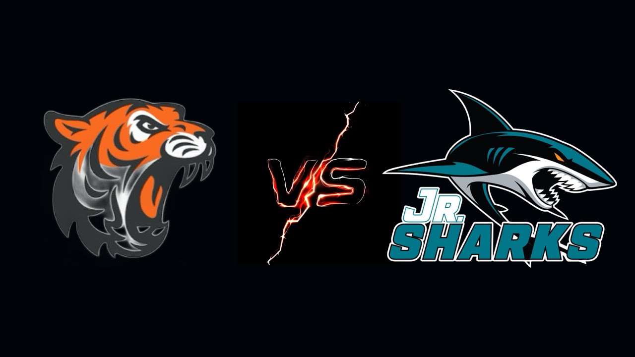 Jr Sharks 11/14/2024 - YouTube