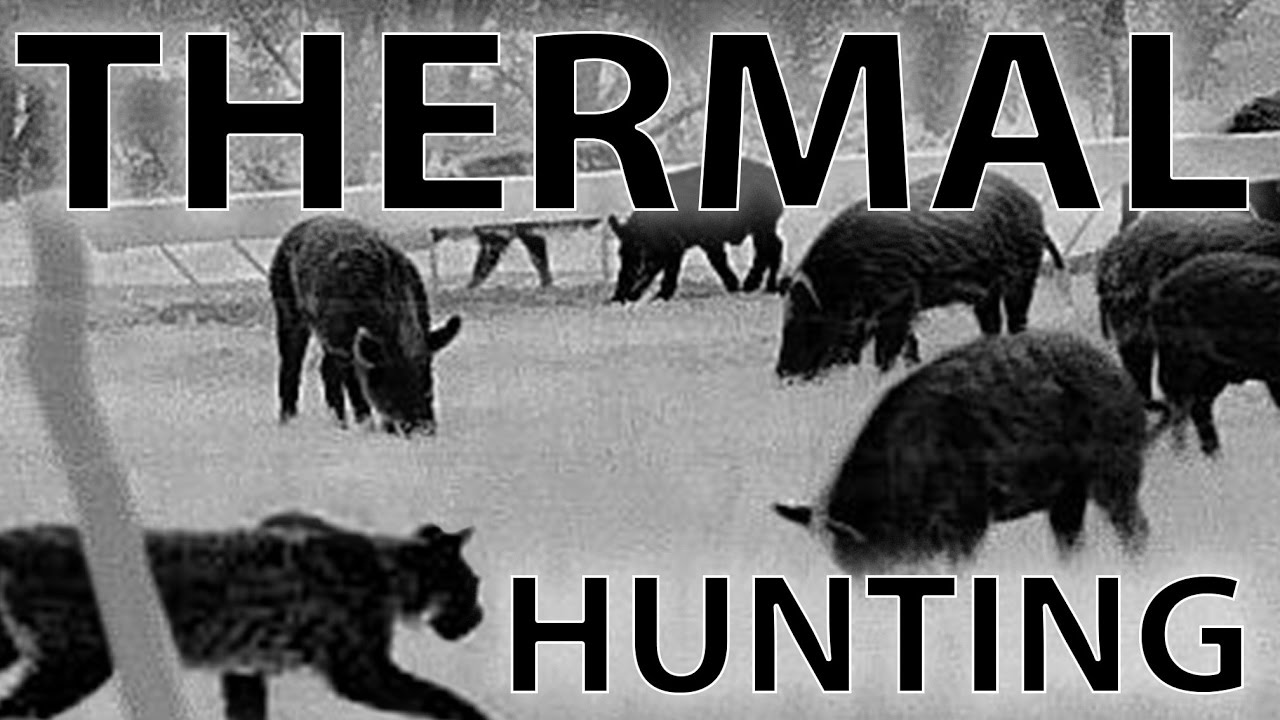 Best Thermal Night Hunting Videos with the Trijicon REAP-IR | 48 Hogs ...