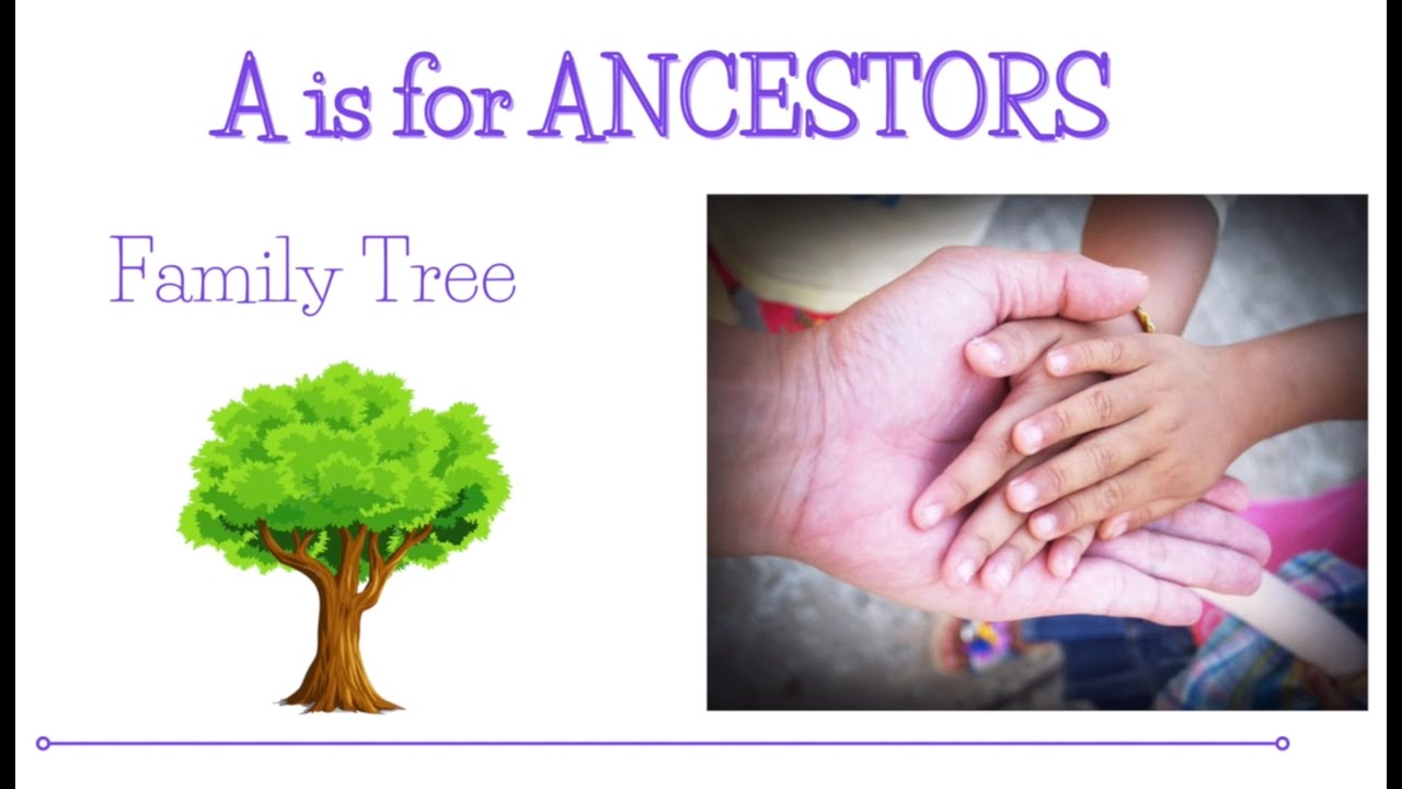Introduction to Ancestors (Level 1) - YouTube