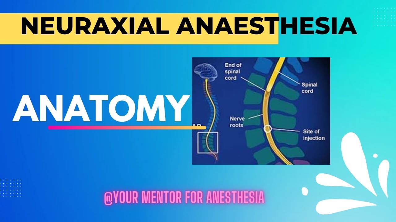 Neuraxial Anaesthesia| Spinal, Epidural- Relevant Anatomy - YouTube