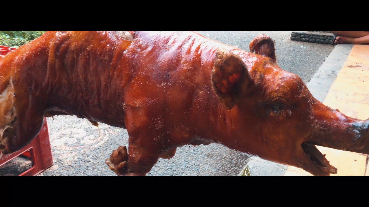 PROSES PENGOLAHAN BABI GULING | KHAS BALI | Making Of Balinese Whole ...