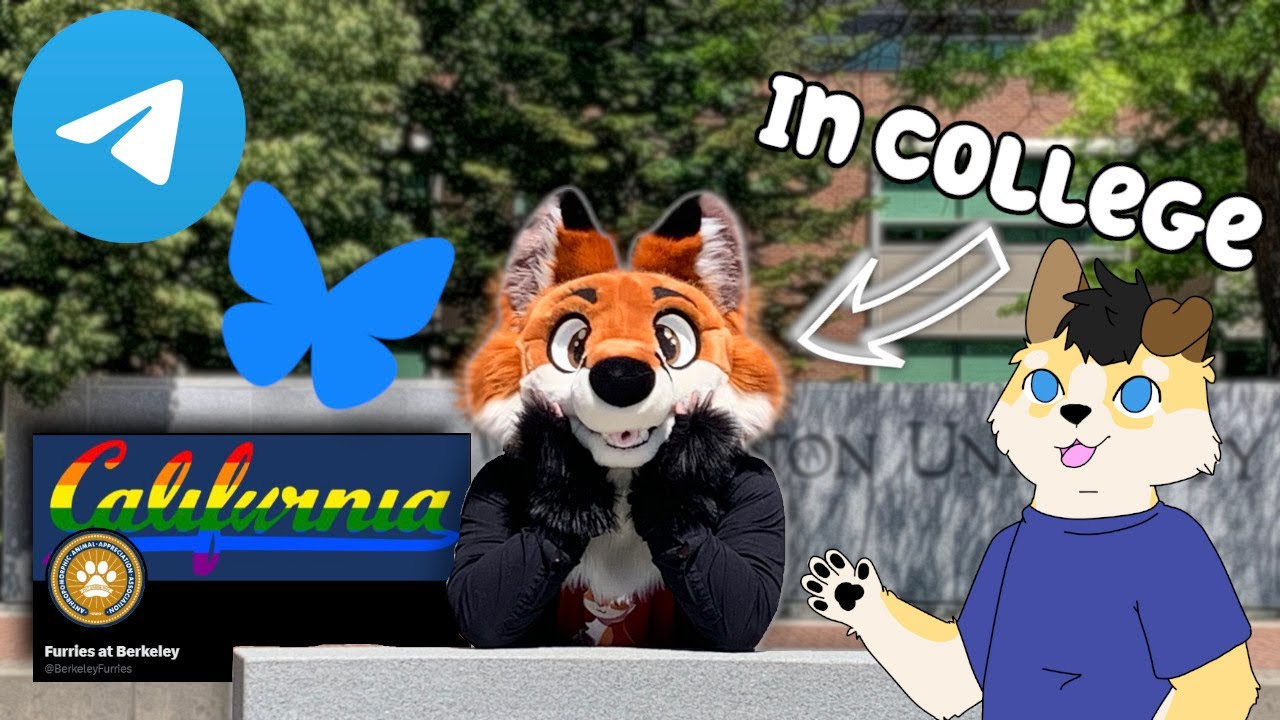 How to Furry While In College! - YouTube