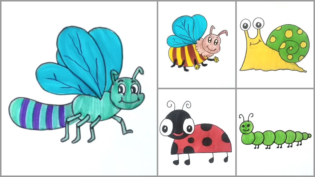 How to draw an Insect Step By Step | Easy Step by Step | Butterfly ...