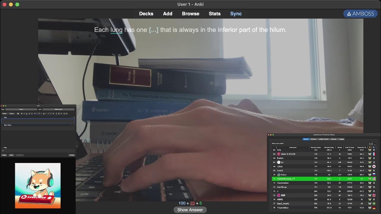 Anki Study Grind (November 9, 2024) - YouTube