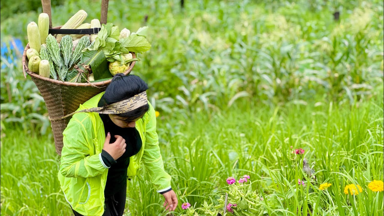 Chawhmeh la in kan feh || Dawrawn ka phur a, kan bawr hlee bawk😅🥰💕 ...