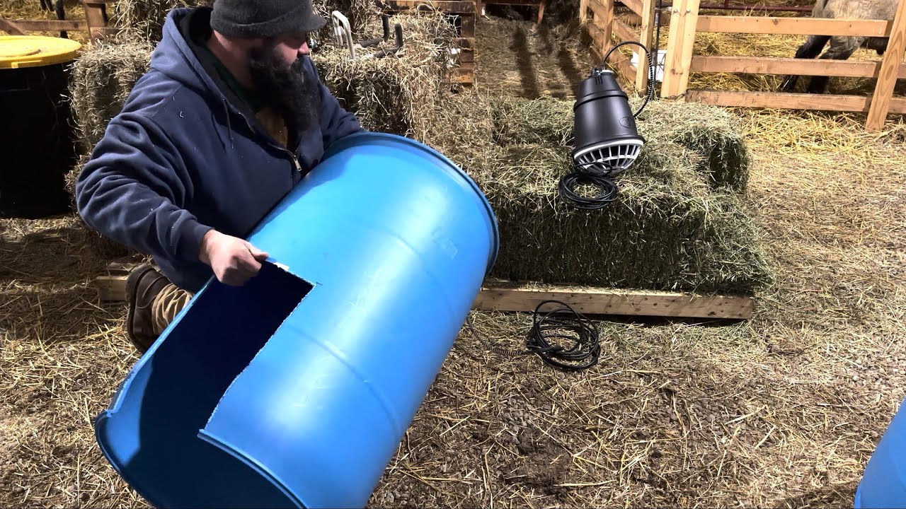 Making Lamb Warming Barrels Using Premier 1 Prima Heat Lamp - YouTube