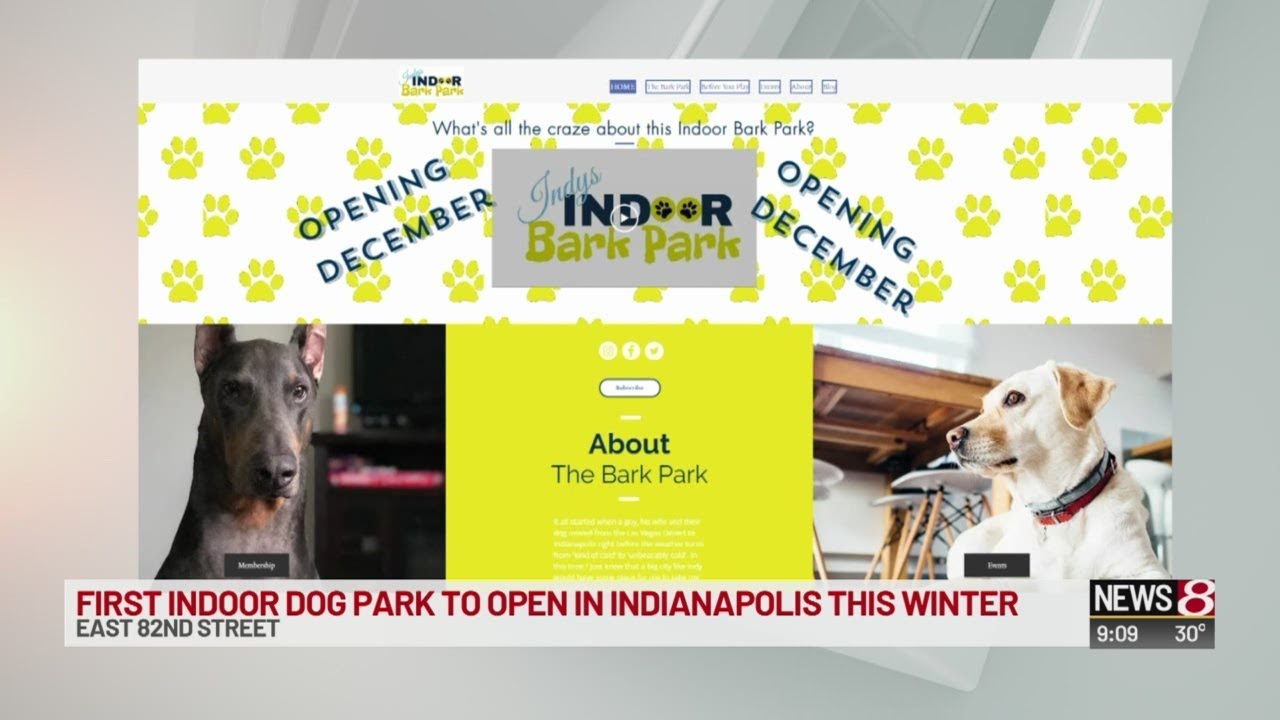 Indoor Dog Park Coming To Indy YouTube indoor-dog-park-coming-to-indy-youtube