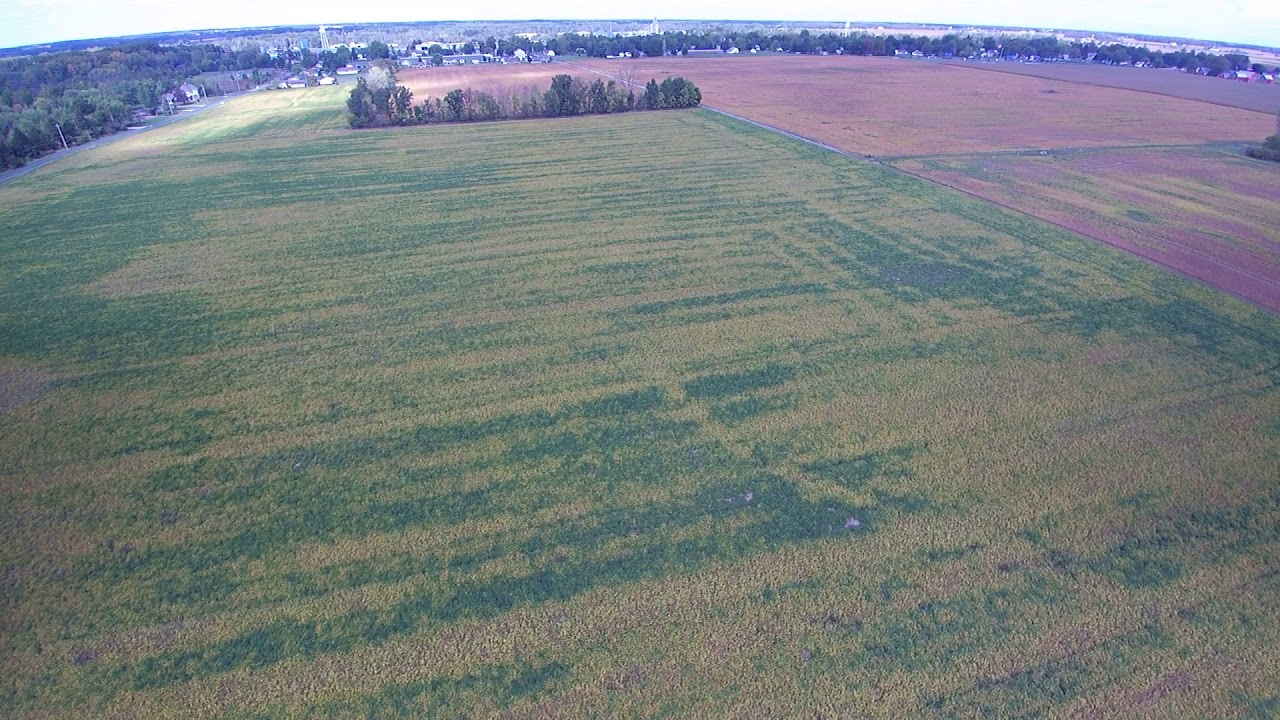 Foust Farms 11/4/17 auction - Parcel 4,5&6 (cr20-50 stryker) - YouTube