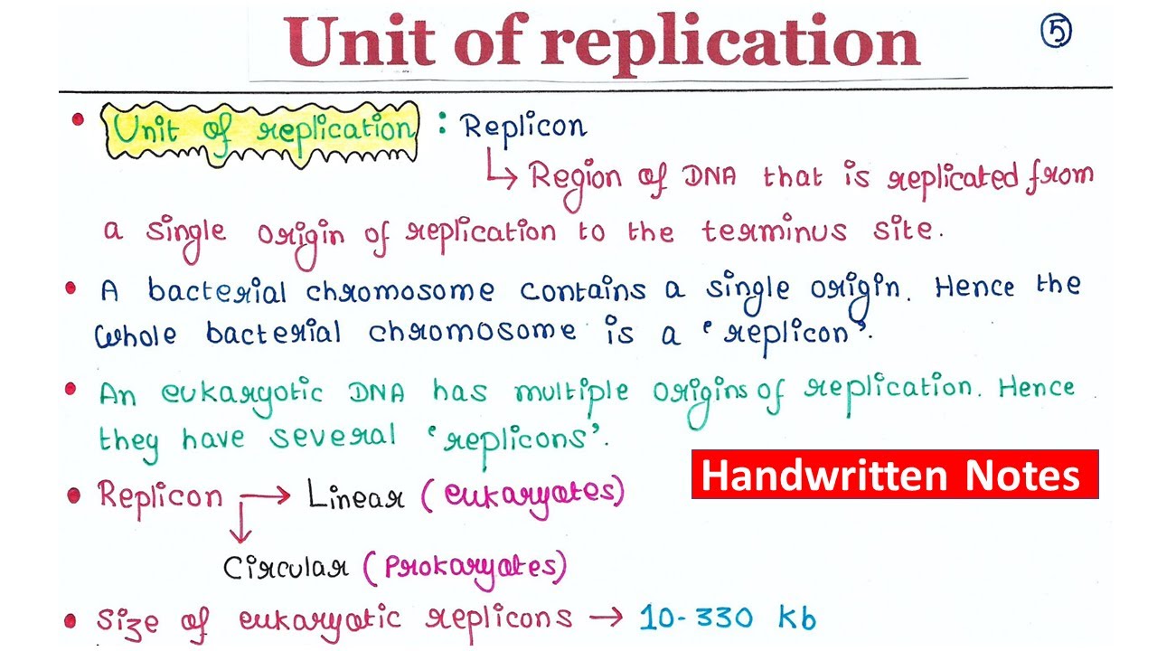 Unit of replication | Replicon - YouTube