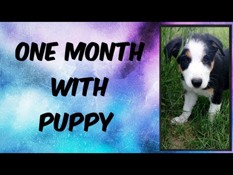 One month together - YouTube