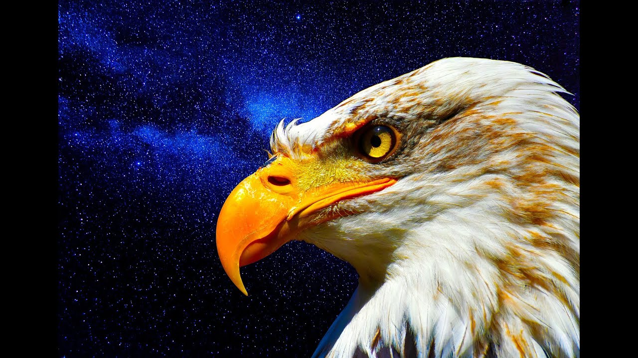 Aurora Ray ~ How To Prepare For Ascension ~ Ambassador of the Galactic ...