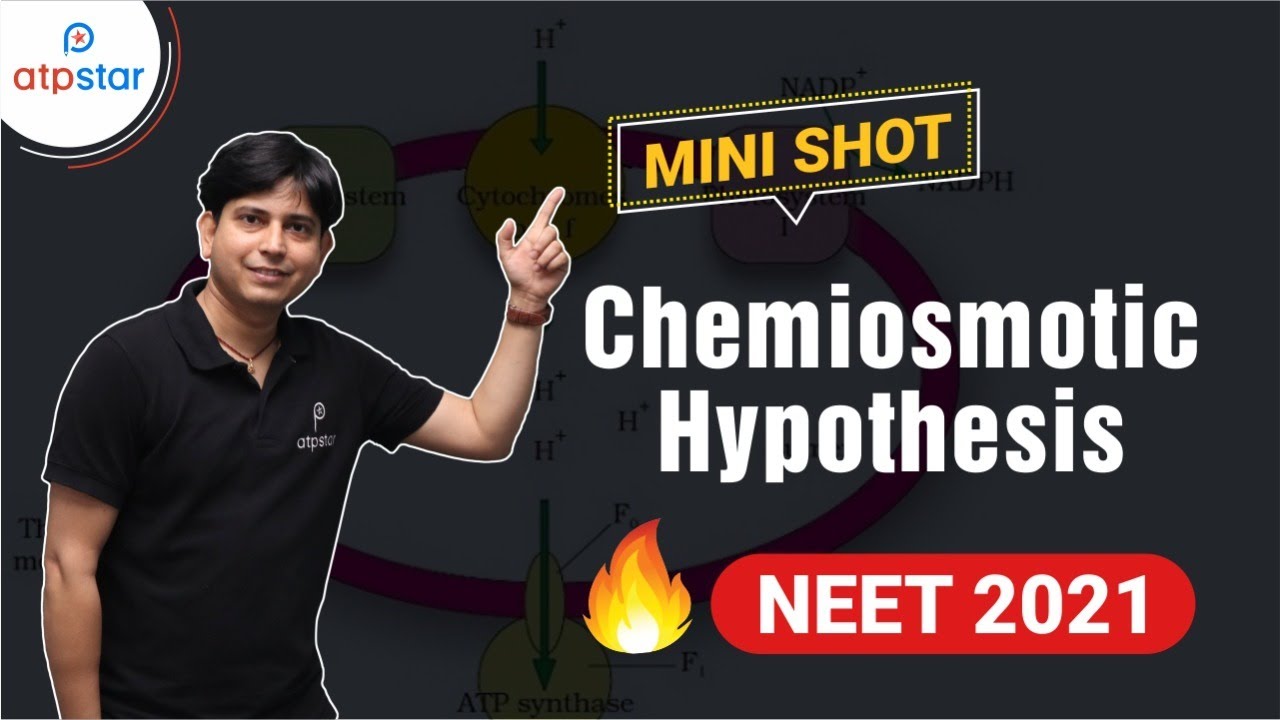 NEET 2021 Chemiosmotic Hypothesis ATP Synthesis Light Reaction NEET 2021 Chemiosmotic Hypothesis ATP Synthesis Light Reaction