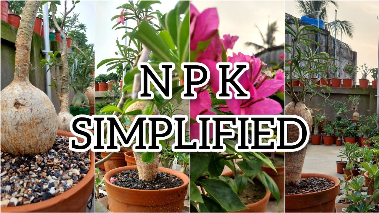 EASY TUTORIAL FOR BEGINNERS. NPK. BASIC OF NPK. साधारण जानकारी NPK ...