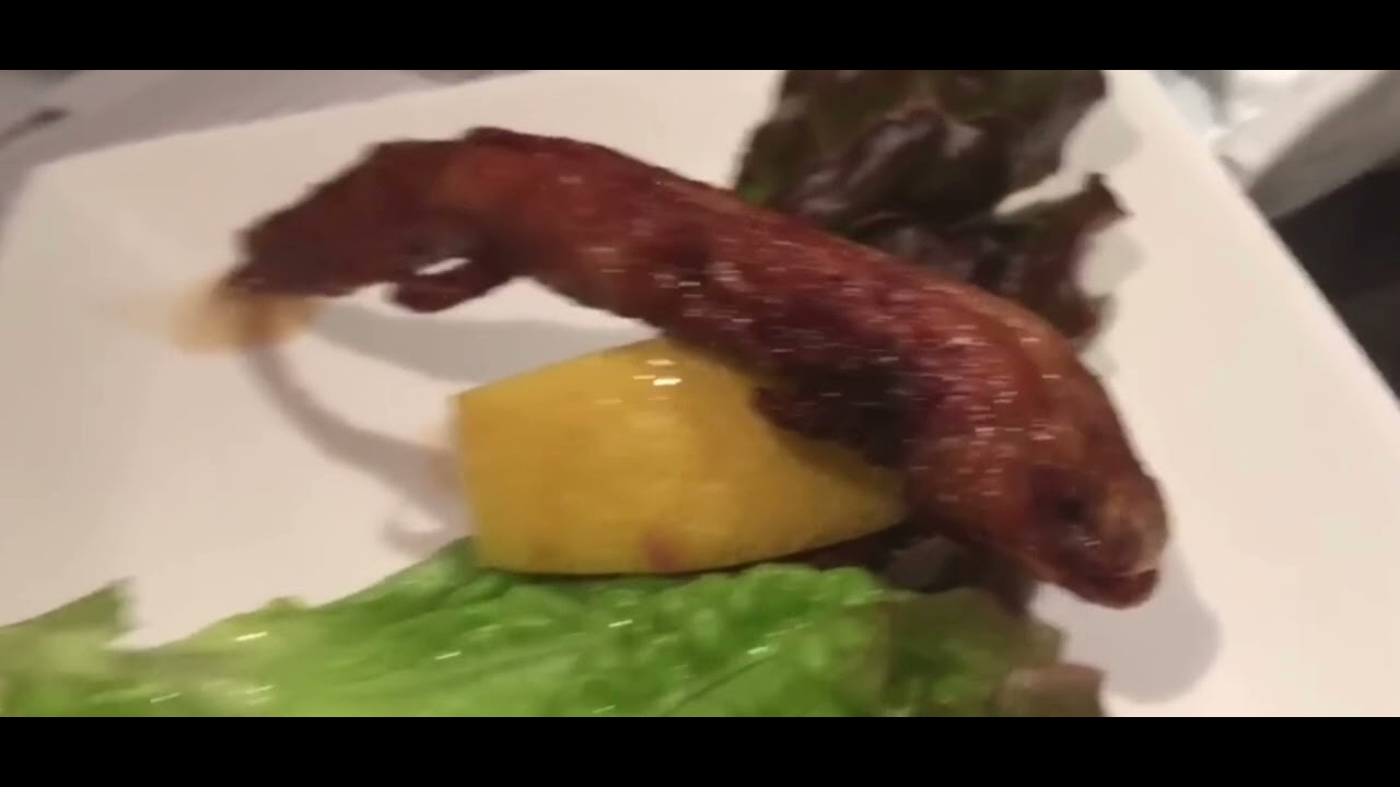 How to deep fry axolotls🥰 authentic Cooking video - YouTube