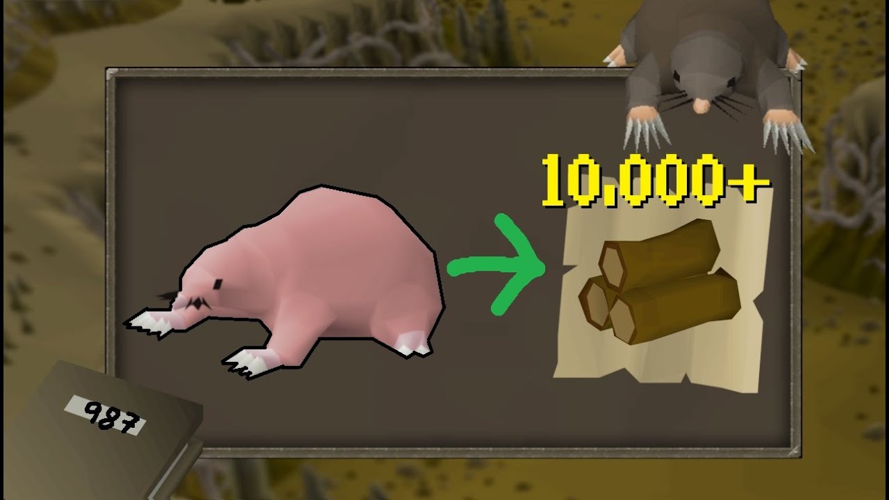 This pet hunt is giving me a BIG boost for this update! {OSRS}(#63) 987 ...