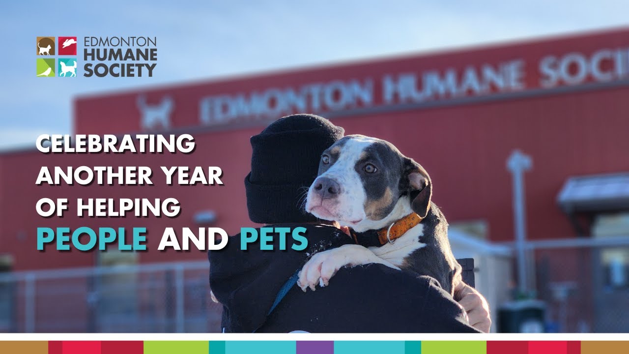 Celebrating 2023 at the Edmonton Humane Society - YouTube