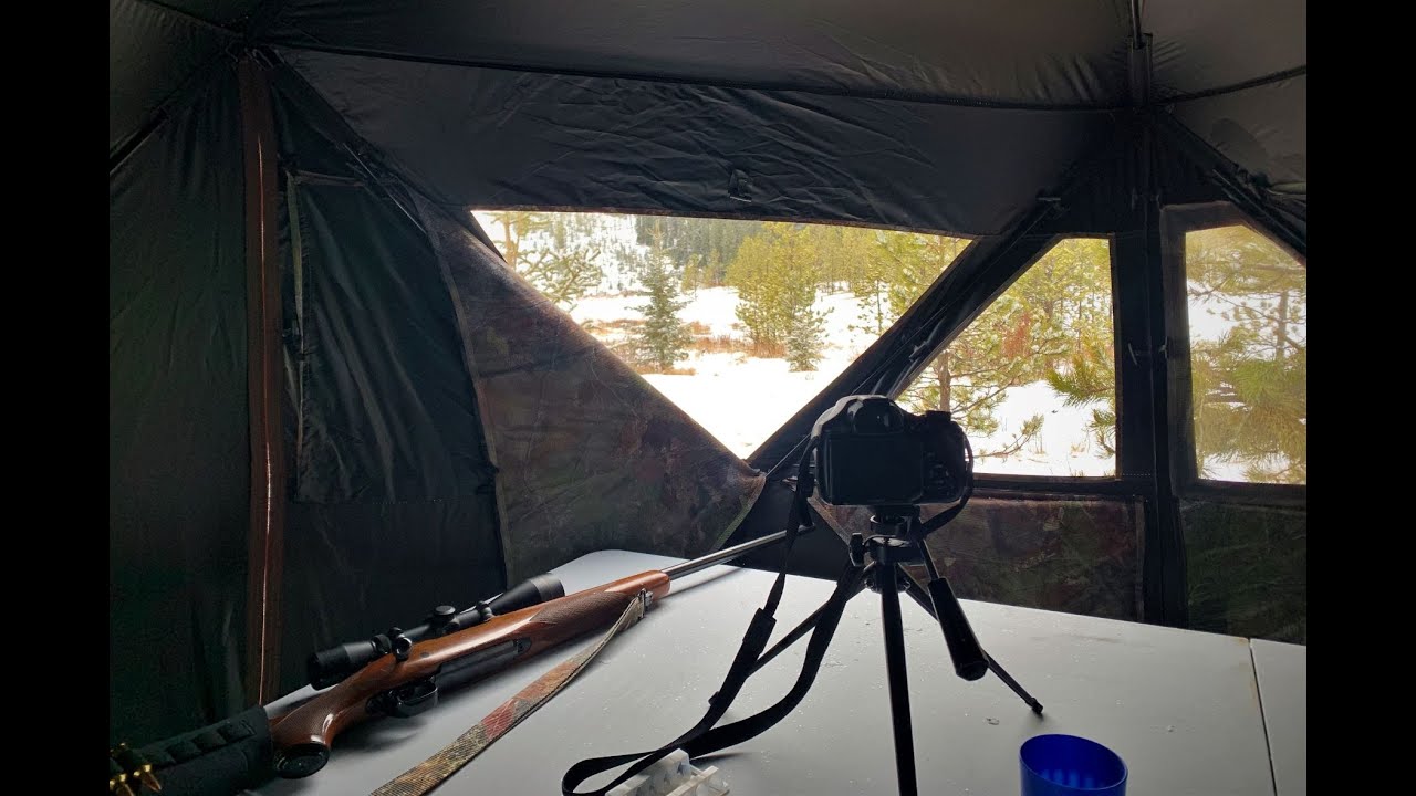 🌲 Wolf Hunting with Caller.! Lov na vuka s pozivačem.! 2022. - YouTube