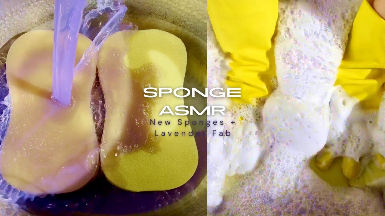 Breaking in New Sponges | Lavender Fab + Warm Water Rinse - YouTube
