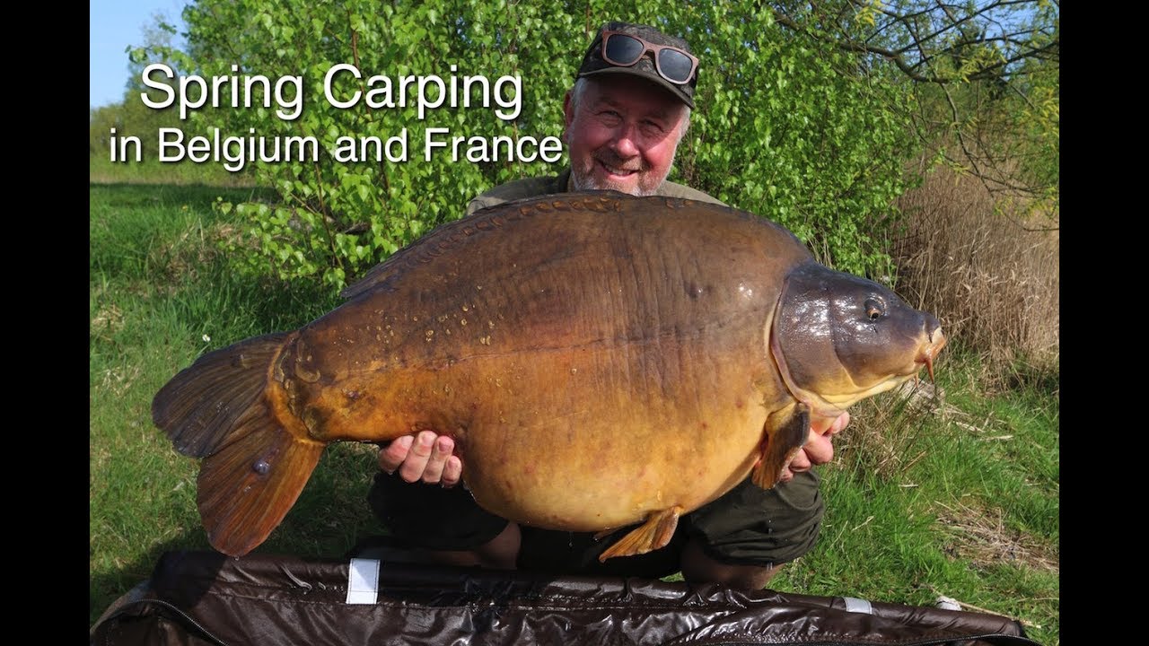 Spring Carping in Belgium and France - YouTube