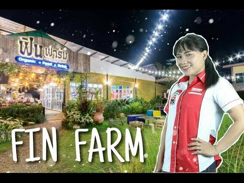 FIN FARM - ( เชียงใหม่ ) - YouTube