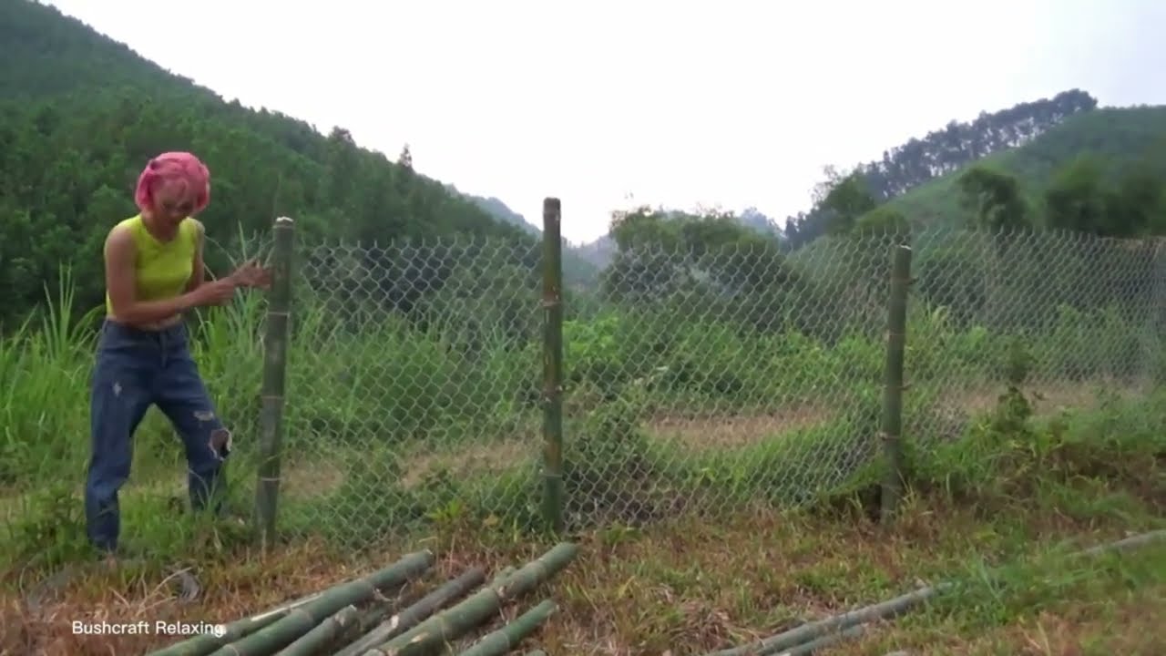 100 Days Daily Life In The Farm Forest - Building columns, walls and ...