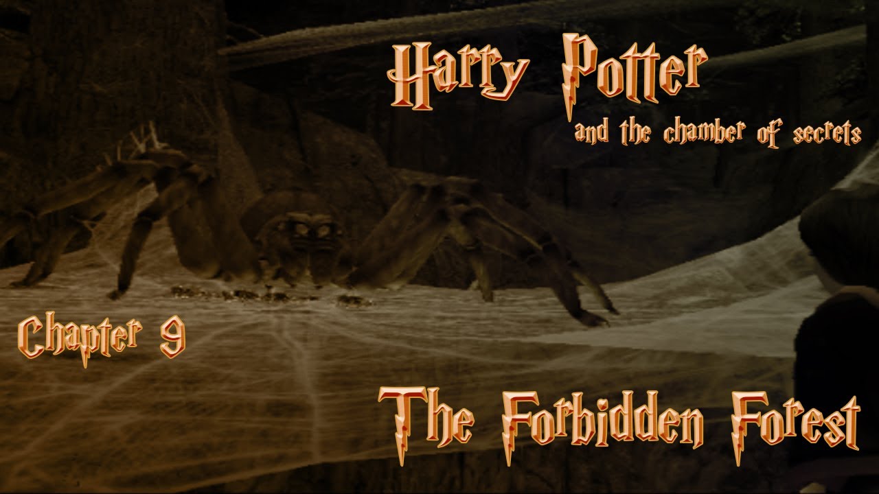 Harry Potter and the Chamber of Secrets: Chapter 9 - The Forbidden ...